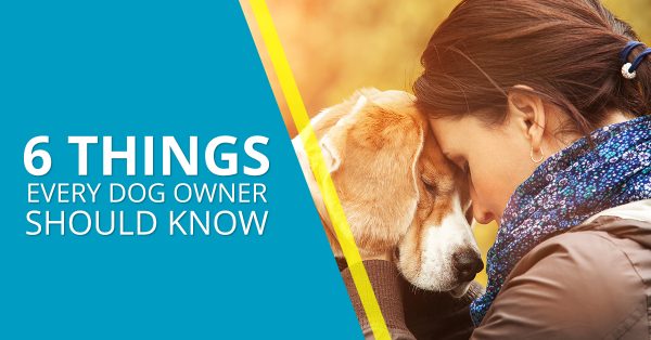 Pet Waste Bags: 6 Things Every Dog Owner Should Know