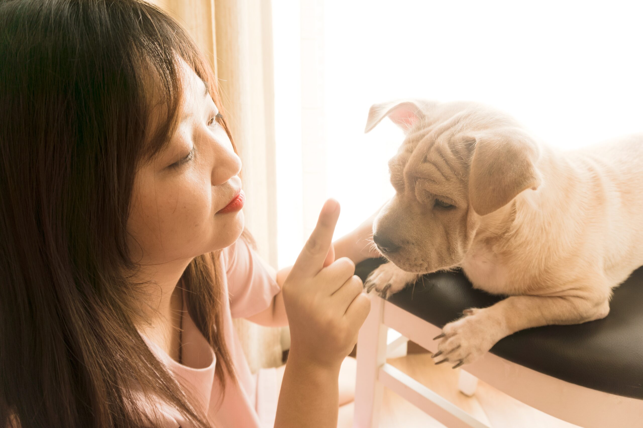 5 Ways to Encourage Positive Behavior in Your Dog - Crown Products